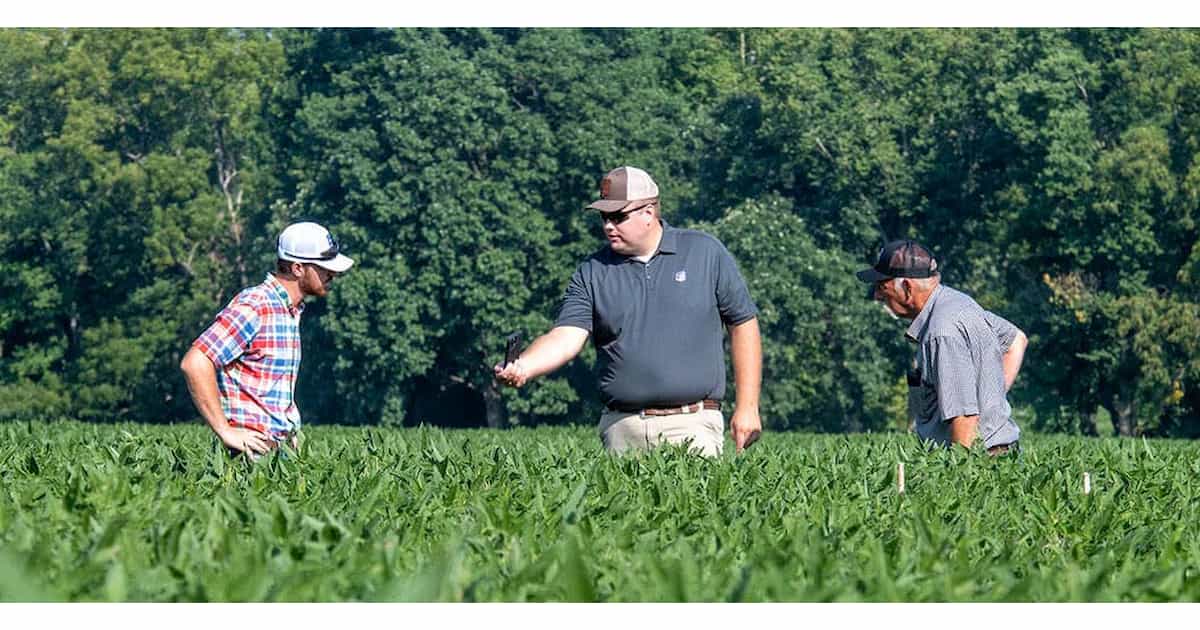 Ask an Expert | MFA-inc.